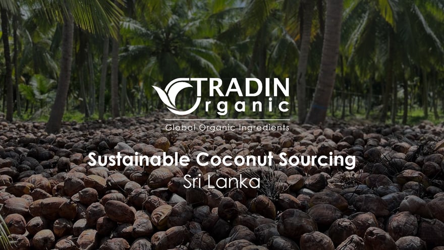 Tradin Organic - Measurable Impact at Source: Coconut Sugar from Indonesia Tradin Organic - Measurable Impact at Source: Coconut Sugar from Indonesia
